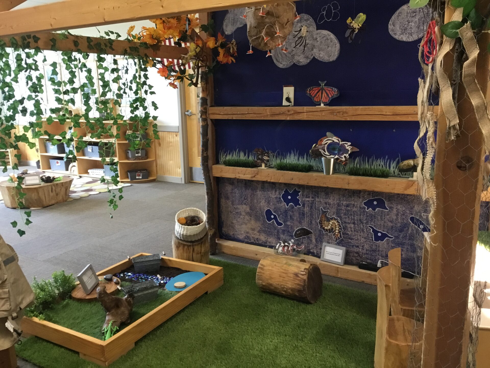 Featured Project: Entomology - Children's Discovery Center