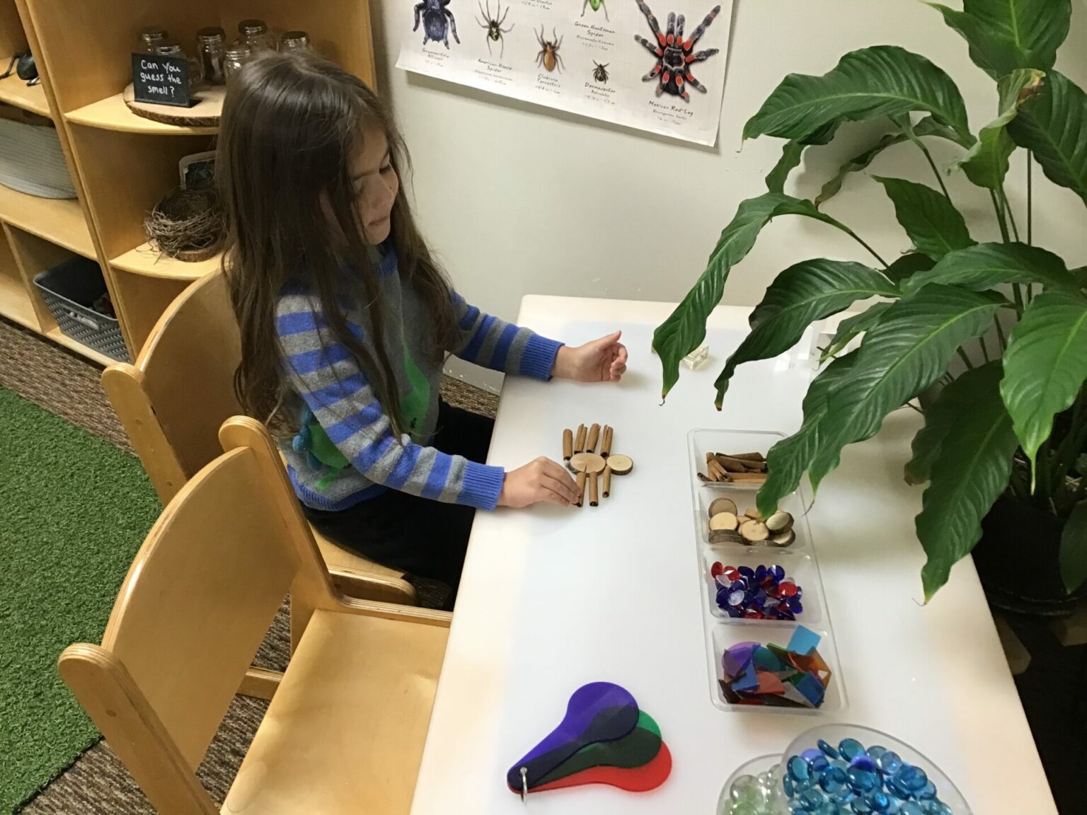 Featured Project: Spiders | Children's Discovery Center