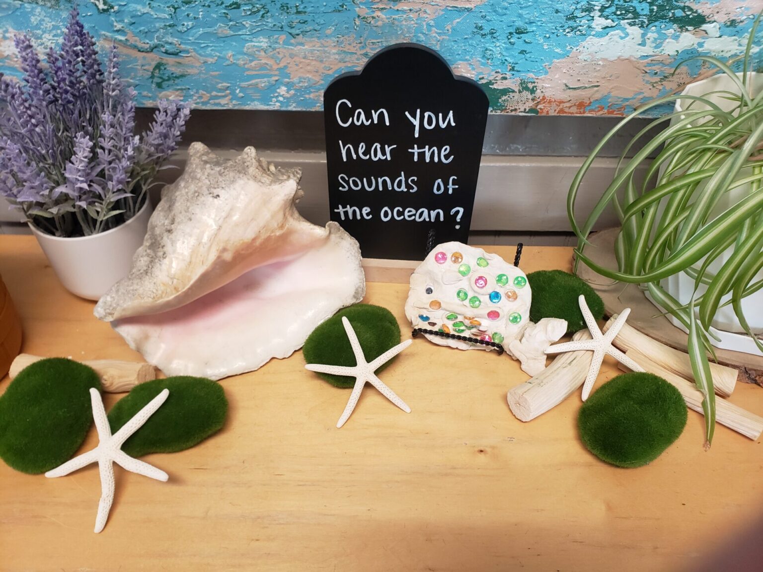 Reggio Emilia Project: Oceans | Children’s Discovery Center