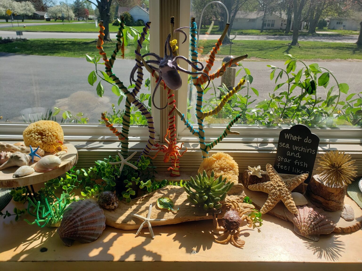 Reggio Emilia Project: Oceans | Children’s Discovery Center